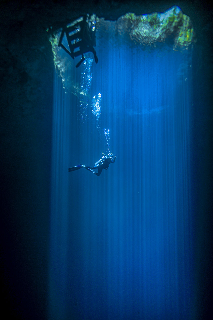 Cenote Maravilla is a hidden treasure in Puerto Morelos - Puerto Morelos